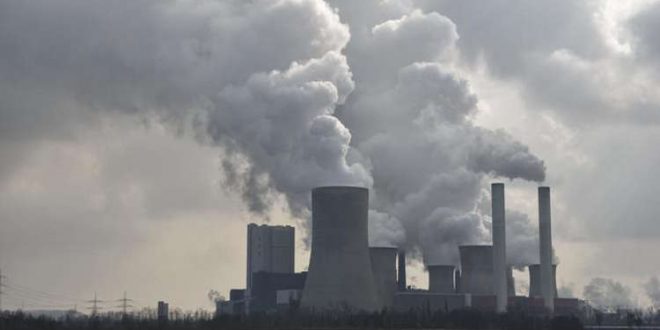 Ndotja Urbane - Projekt në Biologji - 12Vite.com