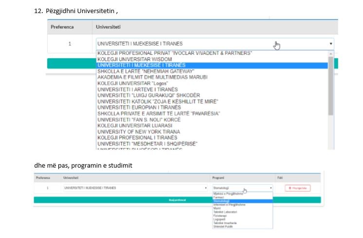 Plotesimi i formularit A2, Manual (Foto dhe Video Ilusturese) Matura 2018