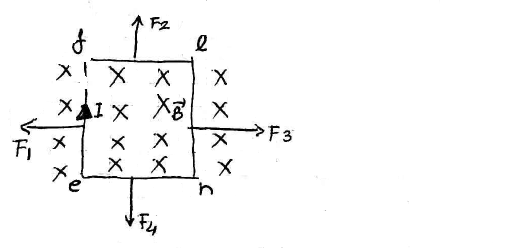 13. Magnetizmi dhe fusha magnetike - Teori, Formula dhe Ushtrime të ...